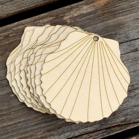 Scallop Shell Etsy