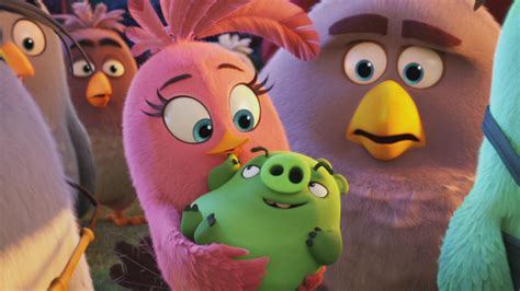 Wallpaper Id 84077 Birds Hd 4k Free Download