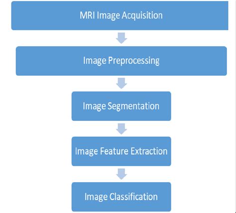 Steps Involved In Mri Image Processing Download Scientific Diagram