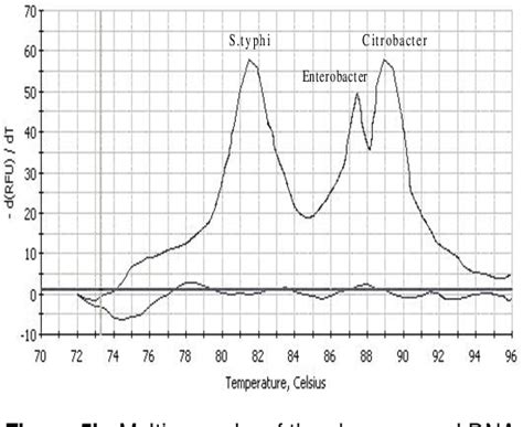 Figure 5 From Multiplex Polymerase Chain Reaction Pcr Assays Forthe Detection Of
