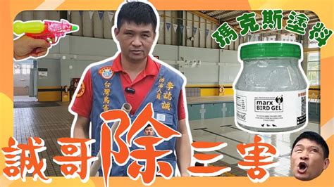 連游泳都會吃到鳥大便成功處理安定游泳池的鳥鳥危機｜台灣鳥害防治中心｜台灣蜘蛛人｜鳥害｜鳥糞清理｜防鳥網｜鳥刺｜鳥害防治專家 Youtube