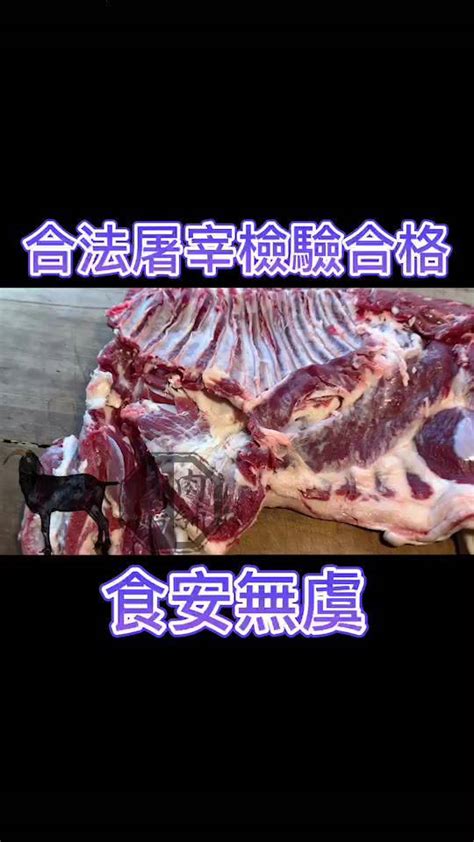 羊腩肉塊 台灣溫體嫩羊肉才媽肉舖 帶皮羊肉塊 合法屠宰證明 努比亞小羔羊 國產溫體羊 羊肉爐 紅燒 肉片湯 炒 蝦皮購物