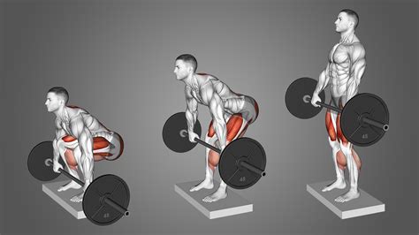 Deficit Deadlift Benefits Muscles Worked And More Inspire Us