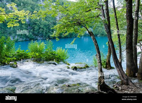 Plitvice Lakes National Park Unesco World Heritage Site Croatia