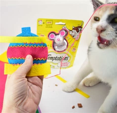 Crafting With Cats Isnt Easy But It Sure Is Fun See How We Made Some