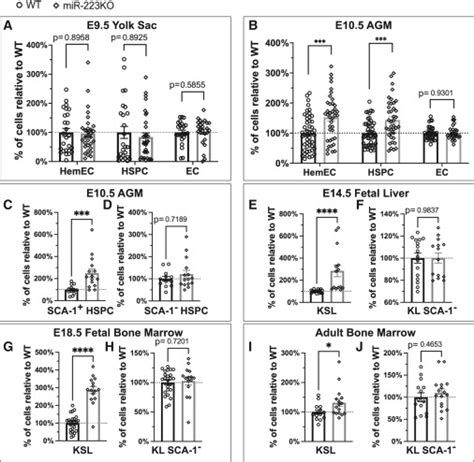 Microrna 223 Limits Murine Hemogenic Endothelial Cell Specification And Myelopoiesis