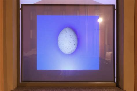 Extinction Story — Claudia Larcher Recontemporary