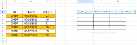 Cómo Usar la Función QUERY en Google Sheets Ninja del Excel