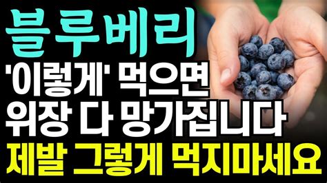 블루베리 제발 이렇게 드세요 함께 먹으면 보약되는 음식3가지와 특급 레시피 침침한 눈 밝아지고 고혈압 당뇨 사라집니다