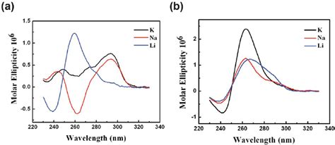 Cd Spectra Of The Two Promoter G Quadruplex Sequences In Solutions