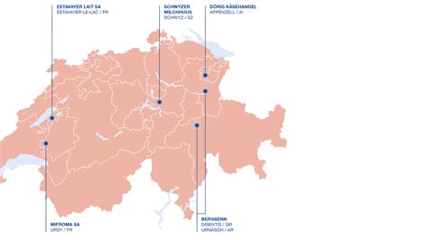 Elsa Group En Quelques Lignes Groupe Migrosjobs