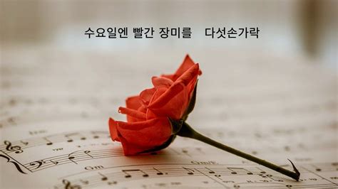 다섯손가락 수요일엔 빨간 장미를 Vocal 이두헌 1985 가사 Youtube