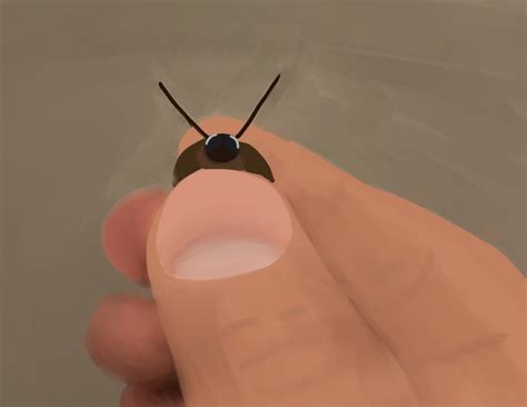 Cockroach By Necrozma96 On Deviantart