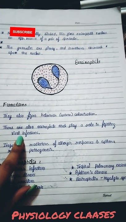 Shorts Function Of Eosinophils Physiology Classes Youtube