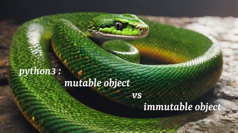 Understanding Pythons Mutable And Immutable Objects By Boudier Christophe Medium