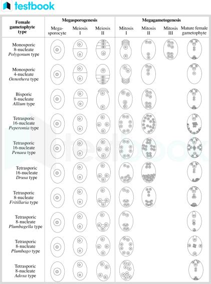 Classification Of Organisms MCQ Free PDF Objective Question Answer For Classification Of