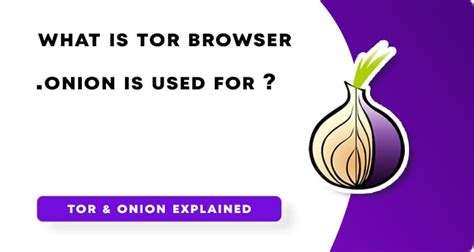 Types Of Web Explained Dark Web Vs Deep Web Indgeek
