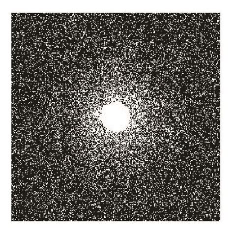 Variable Density Sampling Patterns For Different Acceleration Rates Download Scientific Diagram