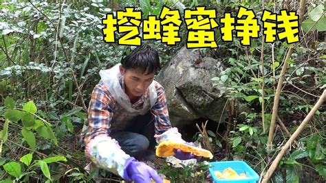 农村小伙进山挖蜂蜜挣钱，第一天赚了一千多，第二天又赚了一千多，太开心了【壮乡小莫】 Youtube
