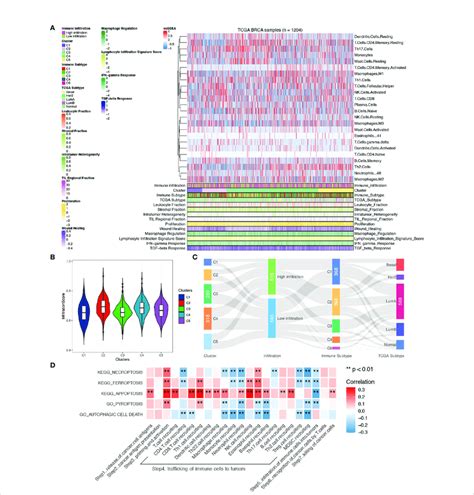 Comparisons Of Tumor Microenvironment Between Clusters A Heatmap Of