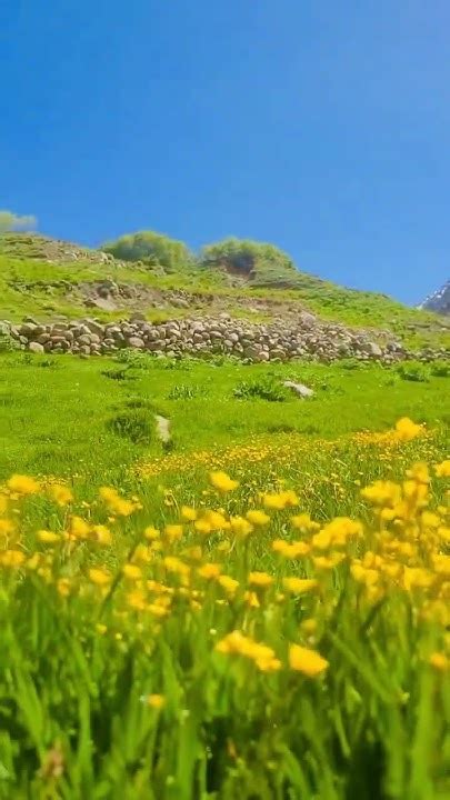 بامیان افغانستان Youtube