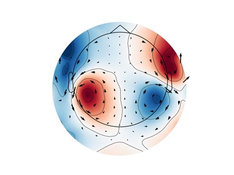 The Plotarrowmap Does Not Display Arrows · Issue 8032 · Mne Toolsmne