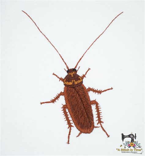 Roach Buddy A Stitch In Time Embroidery Designs