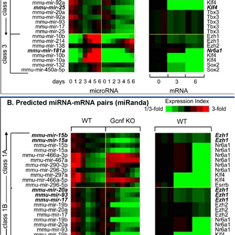 Relative Expression Profiles Of Predicted Mirna Mrna Pairs This Figure