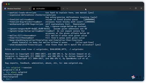使用 Clion 和 Valgrind 调试程序检查内存泄漏 热夏的博客