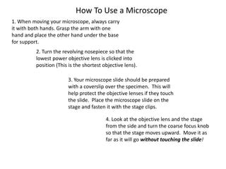Microscope Use In Medical Laboratory Pptx