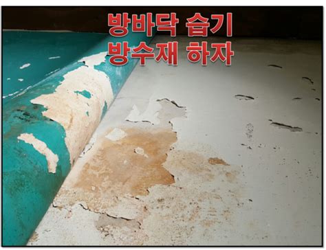 방바닥 습기 차단에 우레탄 방수제 페인트 방바닥 습기 차단 방바닥 결로 방바닥 곰팡이 차단에 Pe방습시트 네이버 블로그