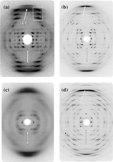 Fiber Diffraction Pattern Of The DNA Samples A A Download Scientific Diagram