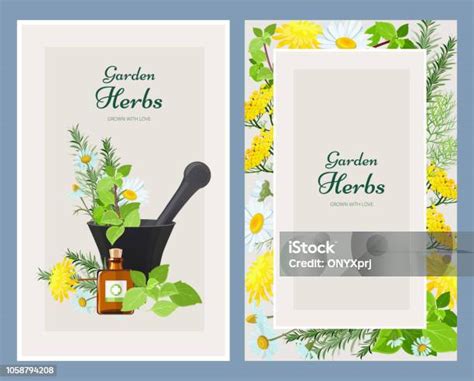꽃 카드입니다 Herbalism 의학 제품 야생 허브와 꽃 빈티지 디자인 벡터 템플릿 아로마 테라피에 대한 스톡 벡터 아트 및 기타 이미지 아로마 테라피 책자 0명
