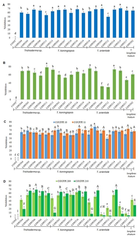 Endophytic Trichoderma Strains Isolated From Forest Species Of The Cerrado Caatinga Ecotone Are