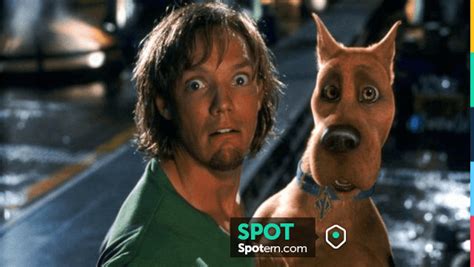 The Disguise Of Scooby Doo In Scooby Doo Spotern