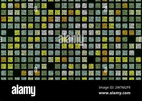 Horizontal Parallel Rows Of Small Qr Codes With Moving Into The Same