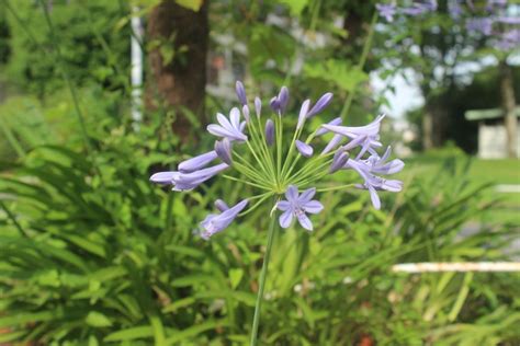 画像の非同期デコード「decoding”async”」と遅延読み込み「loading”lazy”」 ホームページ制作 京都 ファンフェアファンファーレ