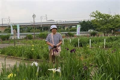 新幹線が5分間隔で通過していきます
