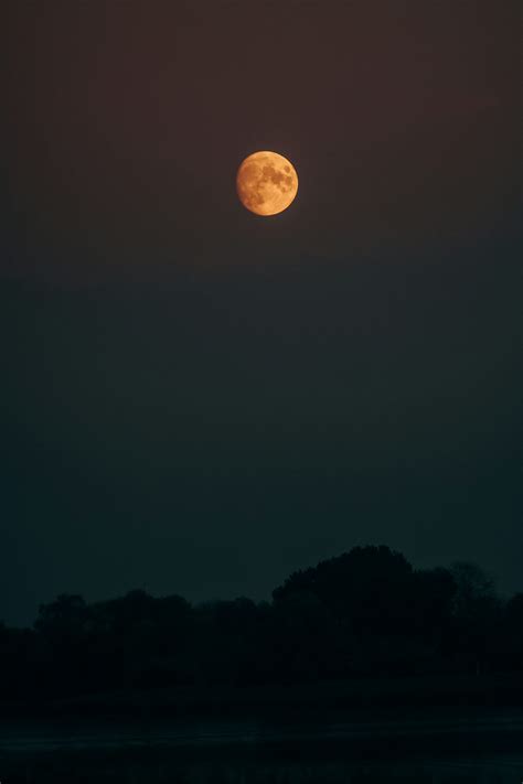A Large Orange Moon Shines In The Night Sky Photo Free Aesthetic