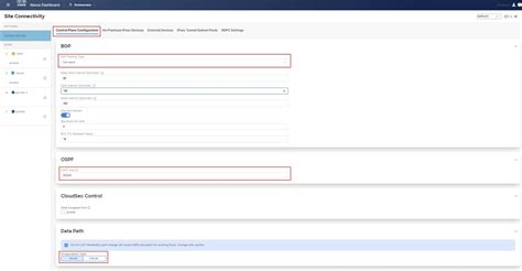 Hybrid Cloud Connectivity Deployment For Cisco NX OS Setting Up The Infra Configuration For