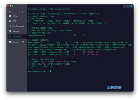 掌握 Dns 查询技巧，dig 命令基本用法 系统极客