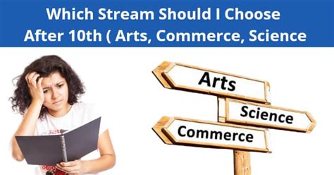 Which Stream Should I Choose After Th The Ultimate Guide