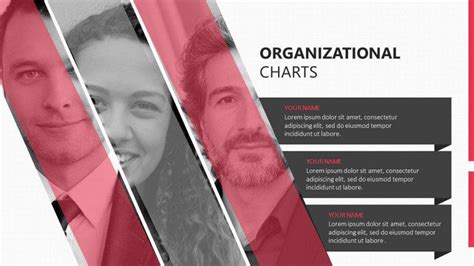 Organizational Chart Templates Organizational Chart Design Proposal Templates Lorem Ipsum