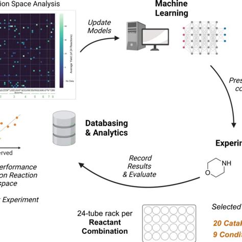 Workflow For Building Up A Dataset To Produce Generalizable Models Download Scientific Diagram