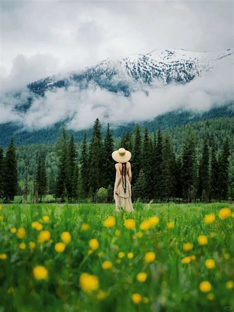 世界慢慢游夏天的阿勒泰美得像人间仙境 小红书 花瓣网