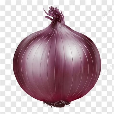 신선한 붉은 양파 양파 신선한 빨간색 Png 일러스트 및 이미지 에 대한 무료 다운로드 Pngtree