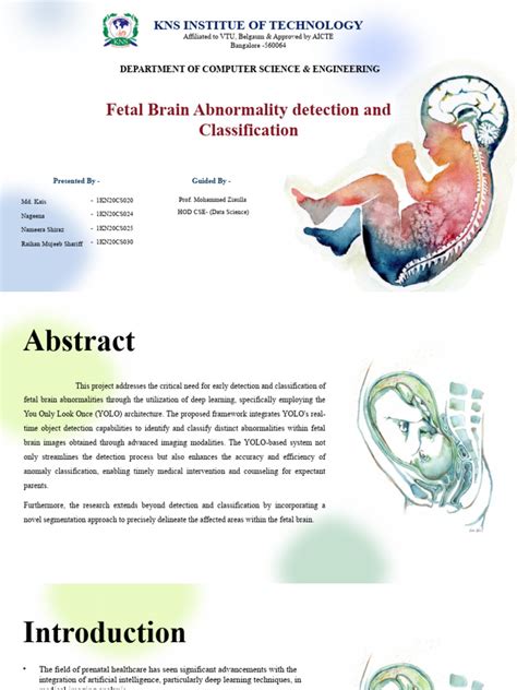 Fetal Brain Abnormalities And Classification 7 V7 Pdf Deep Learning Image Segmentation