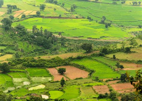 Lambasingi The Kashmir Of Andhra Turns Chilly Enjoys Tourist