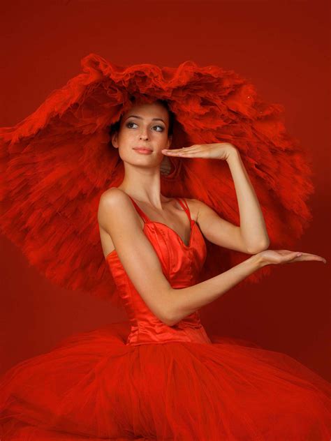 Red Shutterbug