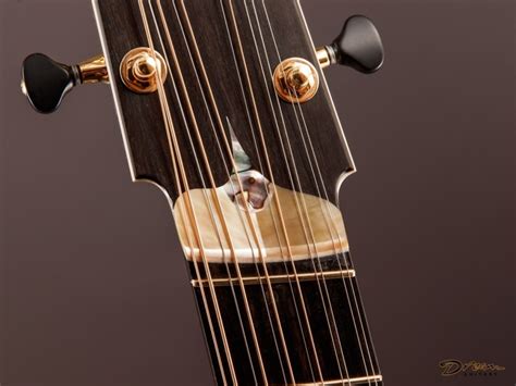 Brand New Klein 457 12 String Brazilian Rosewoodsitka Spruce Dream